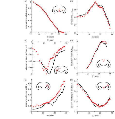 Figure Supplement 1 Geometric Descriptors As In Fig 3 For The
