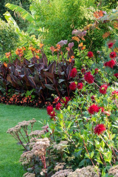 Growing Dahlias Everything You Need To Know Artofit