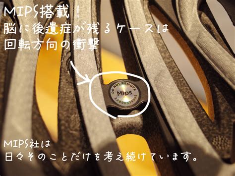 Giro Syntax Mips 製品チェック Giro Cycling ジロ サイクリング[日本公式サイト]
