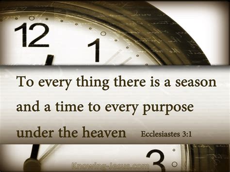 42 Bible Verses About Everything
