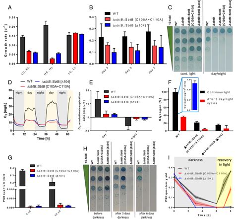 phenotypic characterization of the Δsbtb r loop mutants in comparison