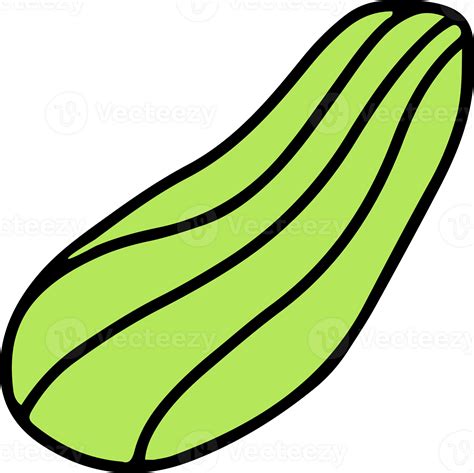 Bitter Cucumber Drawing Isolated PNG