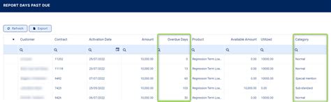 Working With Overdue Loans