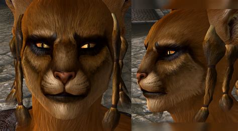 Alternate Khajiit Face Texture For Ocov Seamless Compatible At Oblivion Nexus Mods And