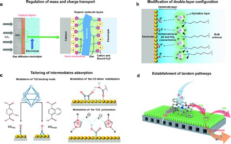 Regulation Of The Co 2 Rr Process At The Triphasic Download