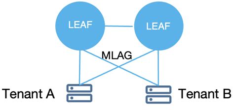 Supported Topologies Verity Documentation