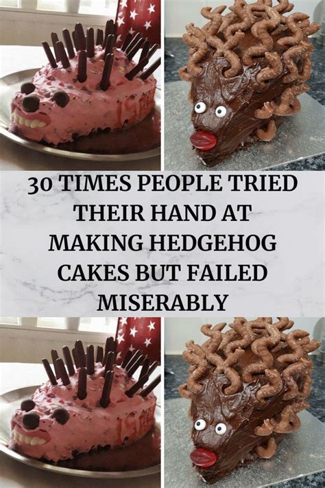30 Times People Tried Their Hand At Making Hedgehog Cakes But Failed Miserably Hedgehog Cake