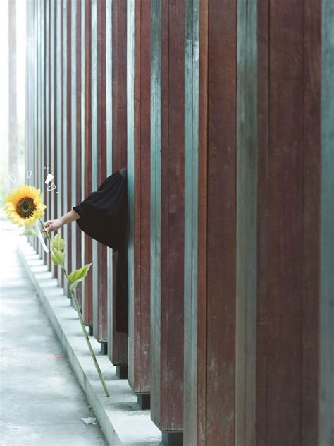 ไอเดียทรงผม Prop ถ่ายรูปรับปริญญา🌻 แกลเลอรีที่โพสต์โดย Pookiefoodie Lemon8