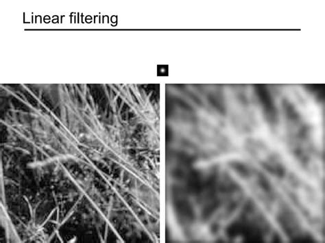 lec05 filter pdf