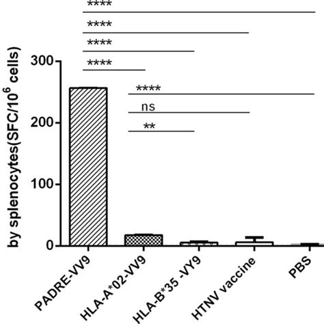 Analysis Of Htnv Specific Ifn γ Secreting Cd8⁺t Cell Responses Of Download Scientific Diagram