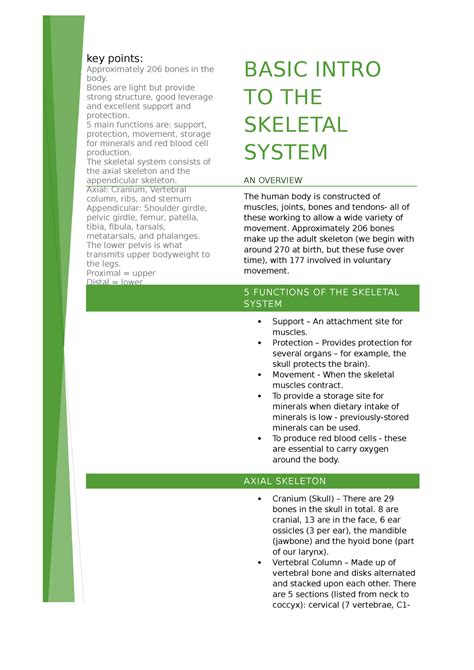 Intro To The Skeletal System BASIC INTRO TO THE SKELETAL SYSTEM AN OVERVIEW The Human Body Is