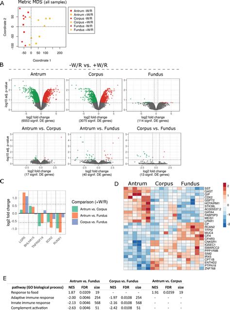 Gene Expression Values At Megan Blackmon Blog