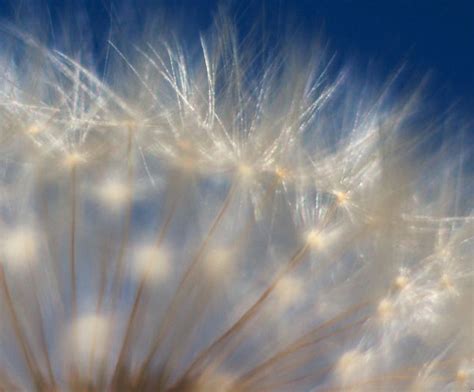 Ubuntu Wallpapers Slideshow WallpaperSafari