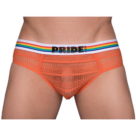 Pride Sheer Mesh Archery Brief Sexy Mens Mesh Brief Undergear