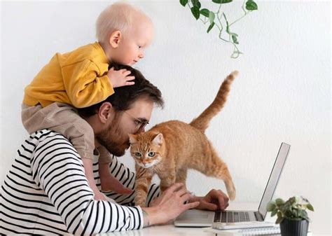 Script Reader Pro Expert Screenplay Coverage And Feedback