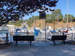 Santa Cruz Harbor Rv Park Roadside Secrets