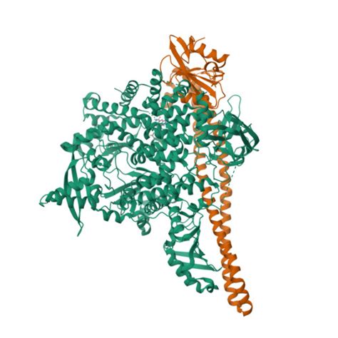 Rcsb Pdb 8tsc Human Pi3k P85alphap110alpha H1047r Bound To Compound 3