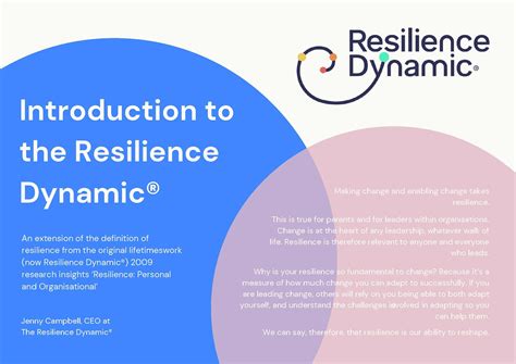 Resilience Dynamic Introduction To Our Framework Resilience Dynamic