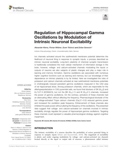 Pdf Regulation Of Hippocampal Gamma Oscillations By Modulation Of Intrinsic Neuronal Excitability