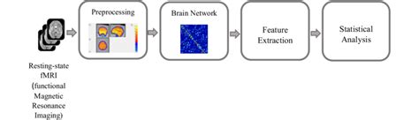 Steps Performed Within The Study Resting State FMRI Functional Download Scientific Diagram