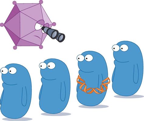 Phage Directory On Linkedin Plasmid Dependent Phages Used To Be Used In Phage Typing But Havent…