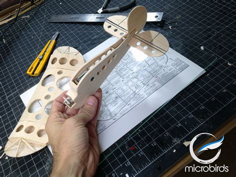 Micro Lazy Bee Rc Gliders Radio Control Dlg Micro Gliders Airplane