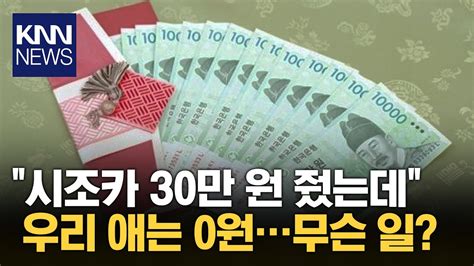 시조카 30만원 줬는데 우리 애는 0원논란 부른 세뱃돈 사연 Knn Youtube