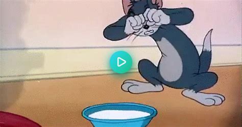 Irv Spence The Invisible Mouse  On Imgur