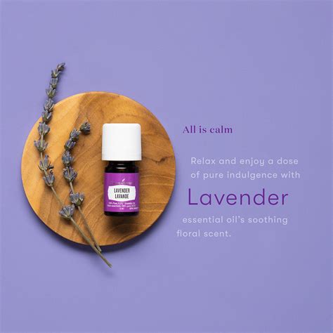 Plug In Diffuser Duet Diffuser Is A Plug In Atomising Oil Diffuser With Two Essential Oil