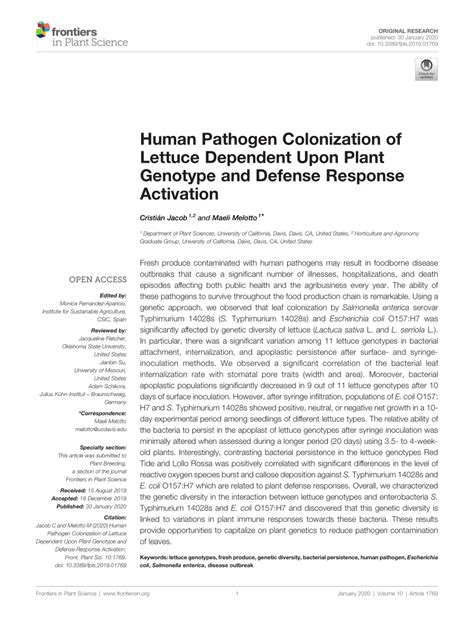Pdf Human Pathogen Colonization Of Lettuce Dependent Upon Plant Genotype And Defense Response