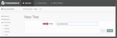 Integration Guide For Forgerock Beyond Identity