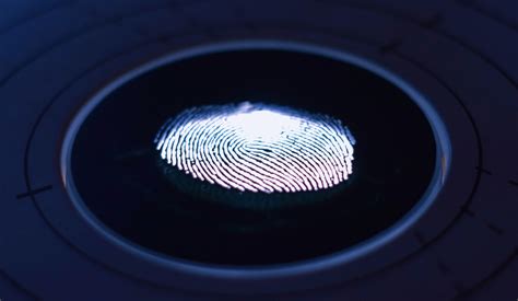 Introduction To Perceptual Hashing