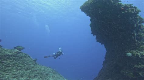 Deep Cleavage Videos Download The Best Free 4k Stock Video Footage