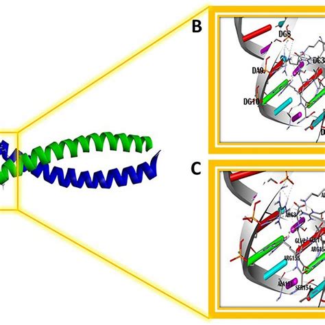 Gudf Derived Tripeptide Glu Glu Arg Shows A Strong And Specific Binding