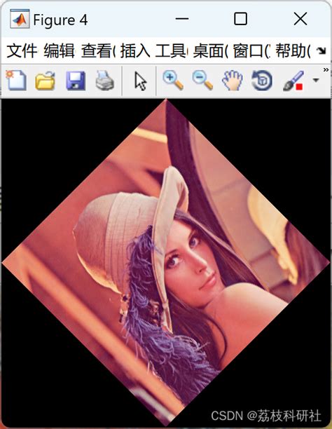 【双线图像旋转】基于一种单程方法用于确定目标图像中的基线方程并提取基线上的所有相应像素研究（matlab代码实现） matlab 如何求图片的