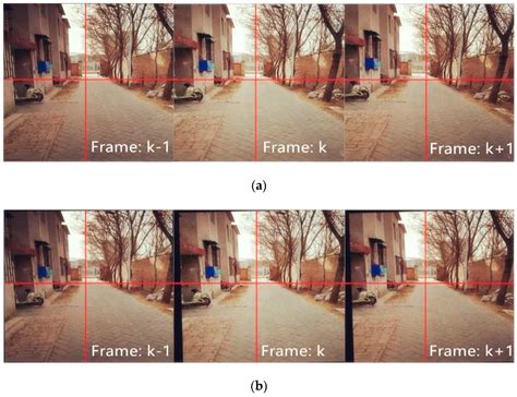 Electronic Image Stabilization At Stanley Blake Blog