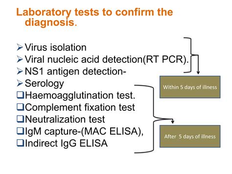 Dengue Diagnosis And Management Pptx