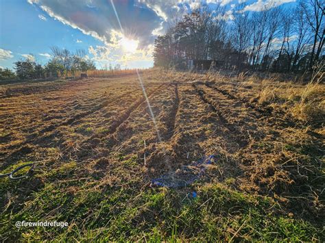 Corn Patch Got Created And Planted Today Rhomestead