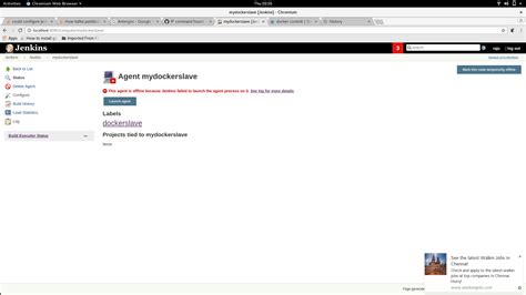 Could Configure Jenkins Slave In Docker Container From Jenkins Server