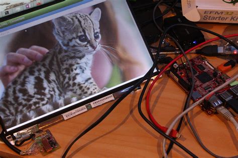 LVDS Laptop Display Interfacing Hackaday Io