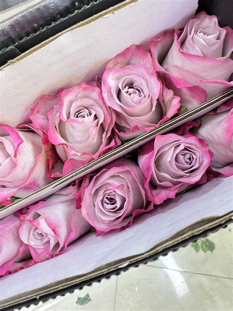 Яармаг цэцгийн бөөний Яармаг цэцгийн бөөний дэлгүүр