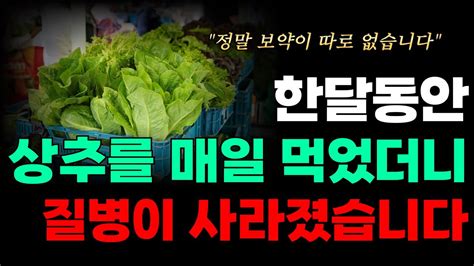 30일 동안 상추를 매일 먹었더니 이것들이 싹 사라지는 놀라운 변화 Youtube