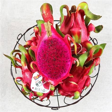 베트남 열대과일 레드용과 25kg5kg