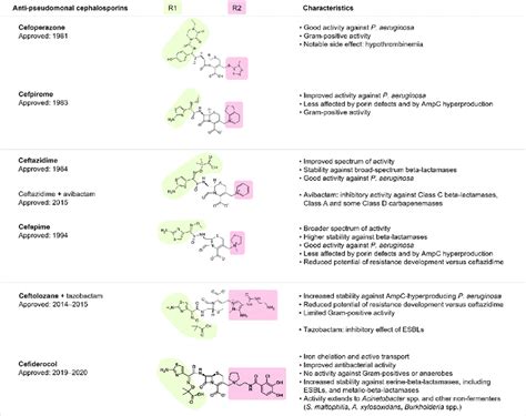 Antipseudomonal Cephalosporins And Their Characteristics Esbl Download Scientific Diagram