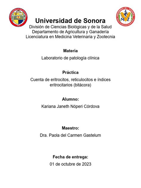 Cuenta De Eritrocitos Retis E Índices Eritrocitarios Pdf Sangre