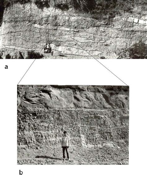 A Photograph Showing The Bed Geometry And Association Of Various