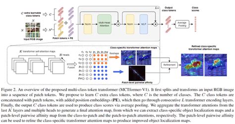 【论文阅读】《multi Class Token Transformer For Weakly Supervised Semantic