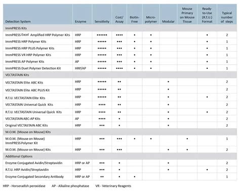 Top Considerations For Selecting Immunohistochemistry Ihc Detection Reagents Vectorlabs