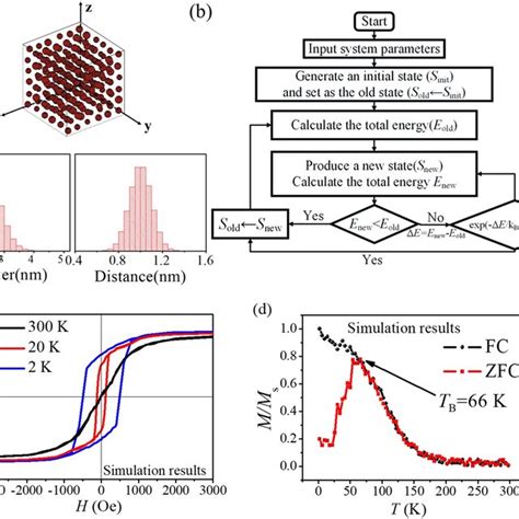 Simulation Results A Schematic Of Amorphous Granular System Model
