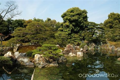 Japonia Ogrody Forum Ogrodnicze Ogrodowisko